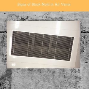 Black Mold in Air Vents: Signs and How to Get Rid of It - Airlucent