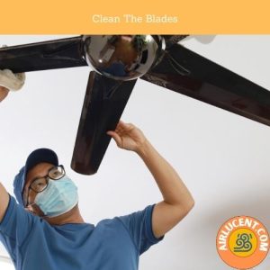 How To Oil (Lubricate) A Ceiling Fan in 7 Steps (Without Taking It Down ...