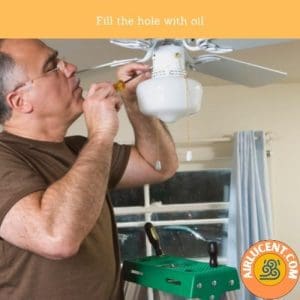 How To Oil (Lubricate) A Ceiling Fan in 7 Steps (Without Taking It Down ...