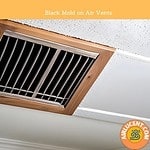 What Does Black Mold Look Like? (Harmless & Toxic Black Mold Pictures ...